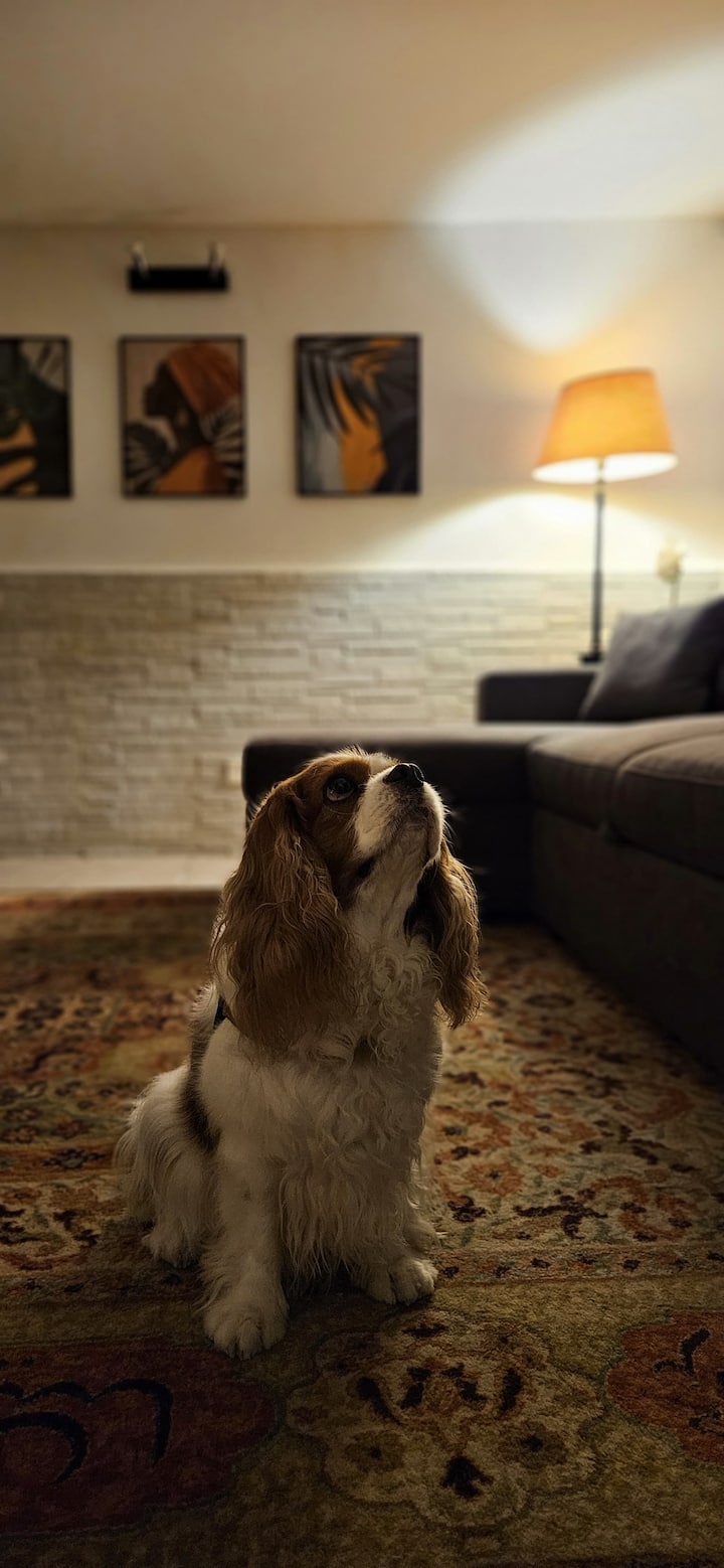 Dimora Delle Cattive: Loft Con Soppalco - Palermo