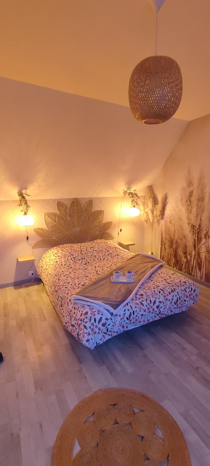 Charmante Maisonnette Cosy - Calais