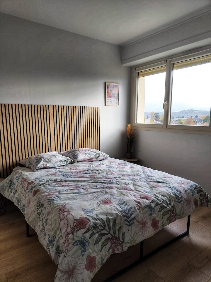 Hébergement Avec Vue Pyrénées - Pau