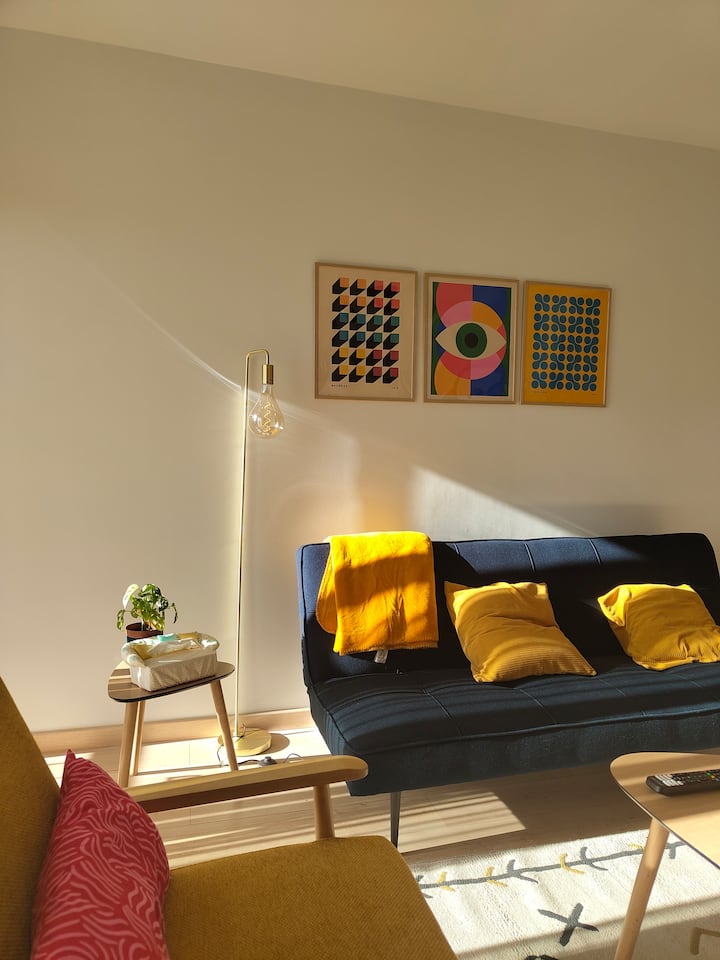 Appartement T2 Vue Pyrénées - Pau