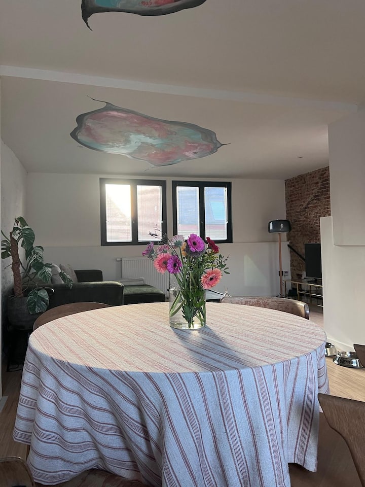 Charmant Duplex-appartement Met Dakterras - Anvers