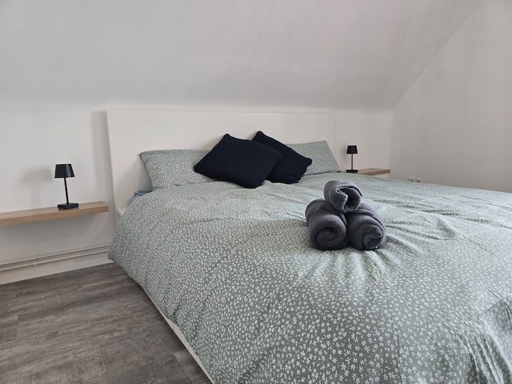 Vom Hohnsen In Die Innenstadt. City Meets Nature. - Hildesheim