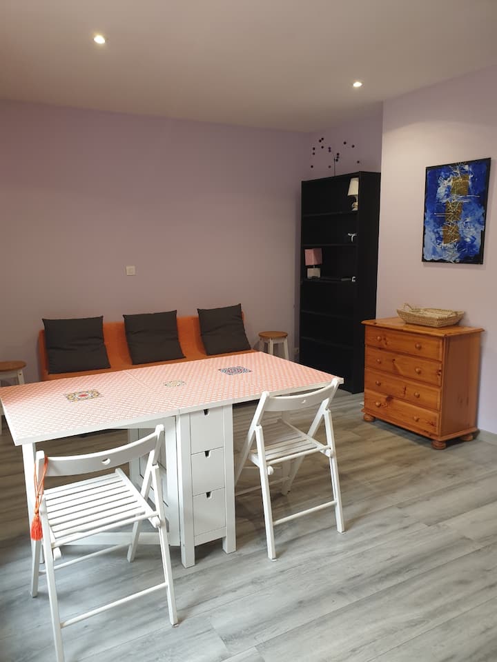 Studio 21 M² Hyper Centre - Saint-Fargeau