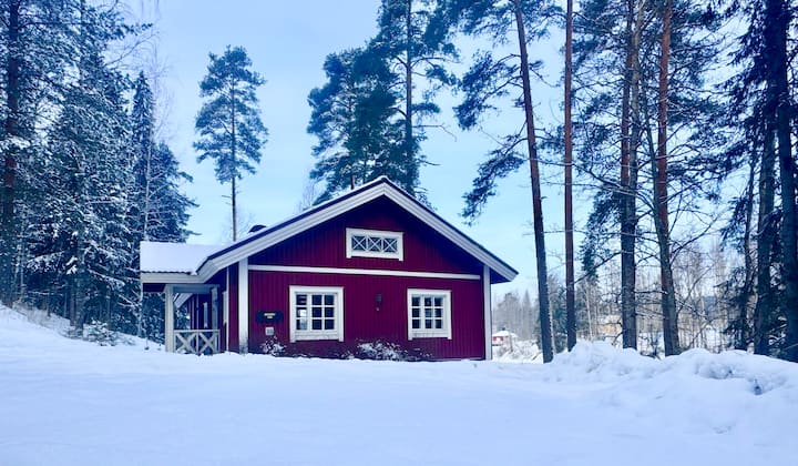 Satakieli Seeteri Somero - Somero