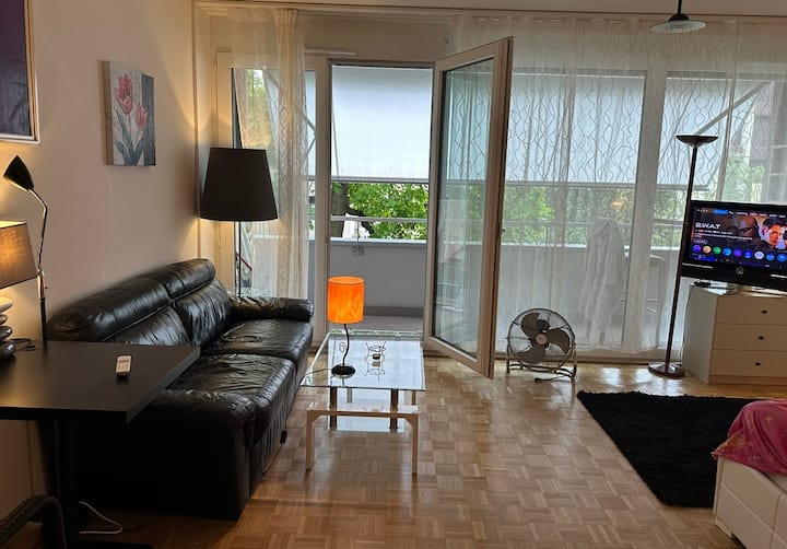 Central Vip Area, Modern Funtional, Amenity. - Genf