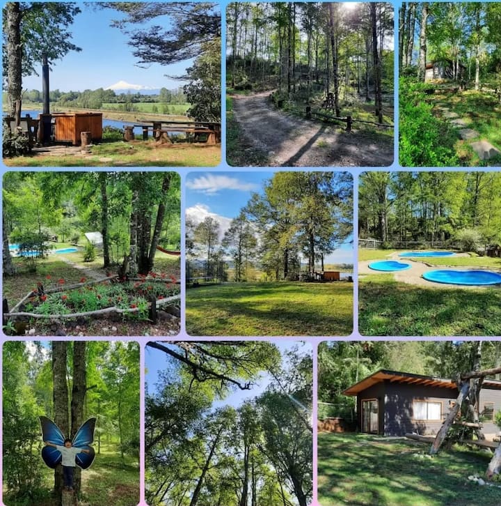 Hermosa Cabaña  Bajo Un Bosque De Hualles - Panguipulli