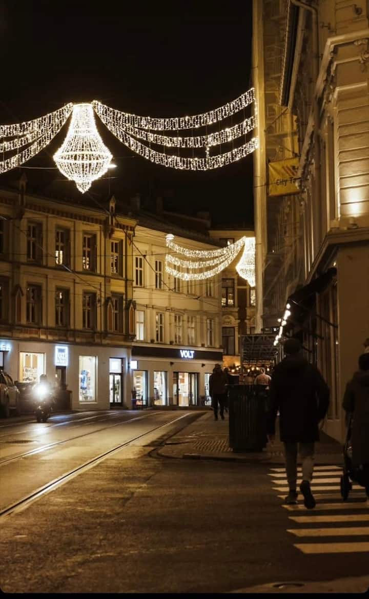 Slottsparkens Nabo - Oslo
