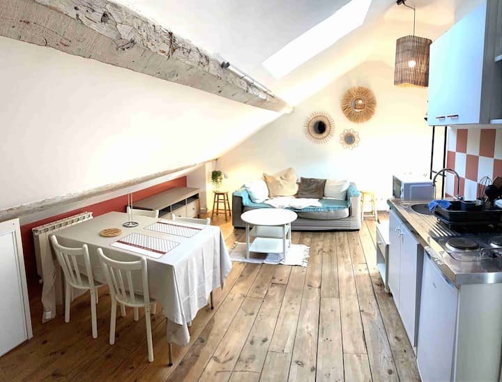 Studio "Loft" - Chambéry