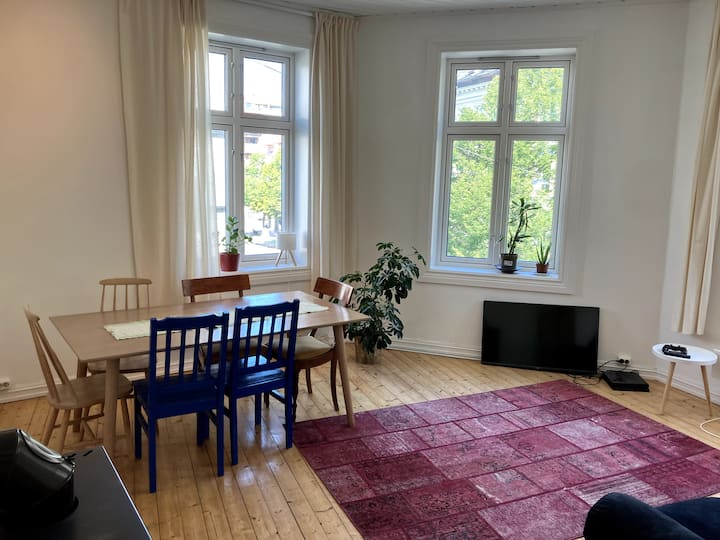 Bright & Cozy Apartment Near Everything - Oslo