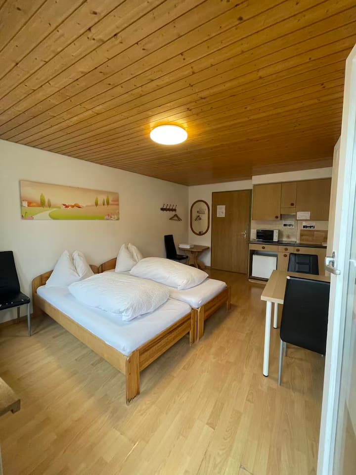 Junfrau Studio Ff - Wilderswil