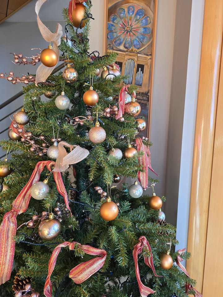 Confortable Apartament Igualada  St 1 1 - Igualada