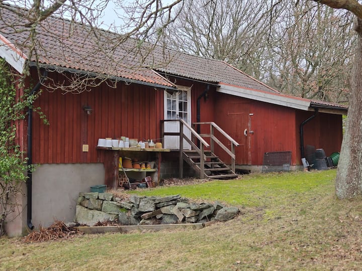 West Of The Island Orust, Close To Forest And Sea. - Tjörn