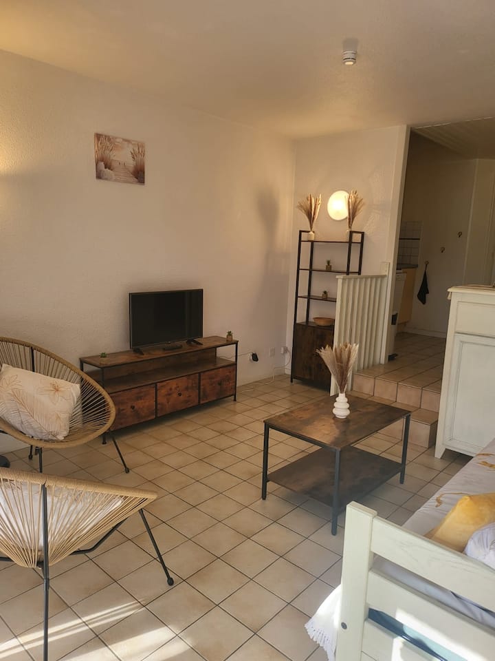 Studio Cabine Familial Proche Golf Et Plage - Saint-Cyprien Plage