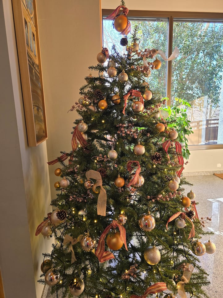 Confortable Apartament Prop De Barcelona. St. 2 2 - Igualada