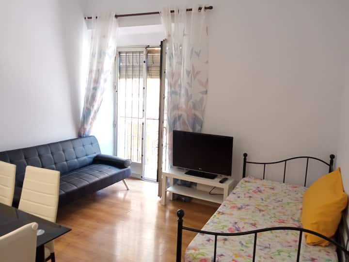 Mix Of 2 Flats For Large Groups: Teatro Cervantes - Malaga