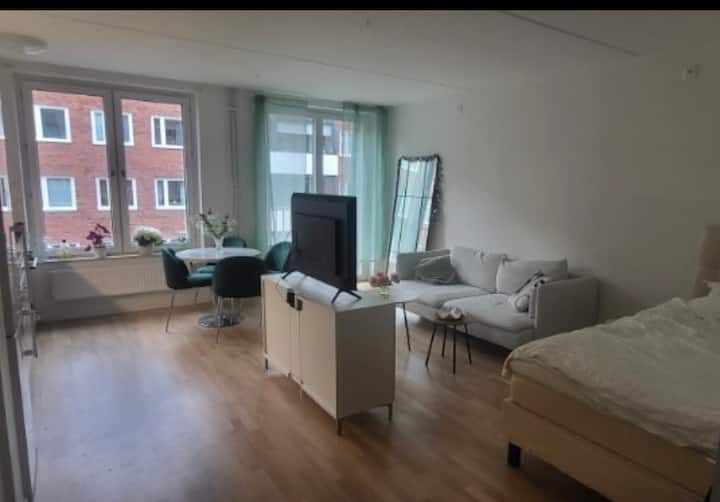 Ett Rum O Kök Vid Stadsparken Nära Centrum - Eskilstuna