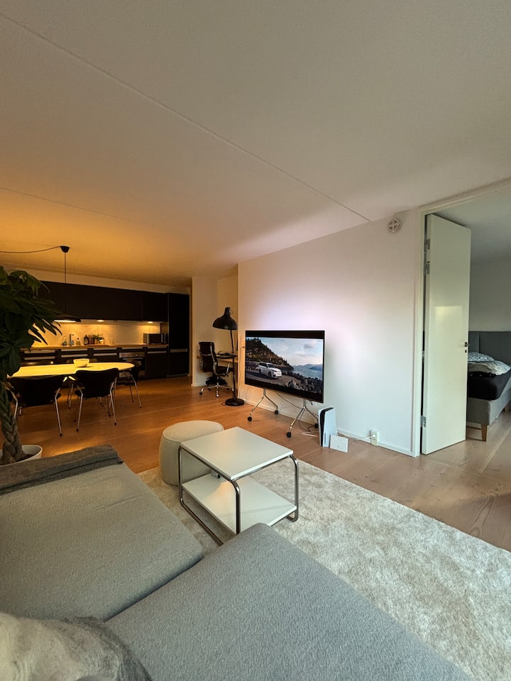 Spacious & Peaceful Flat With Big Terrace By Canal - Copenhaguen