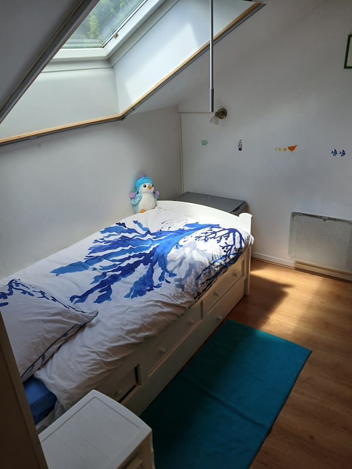 Chambre Lit Simple + Lit Gigogne Pour Enfant - Charlieu