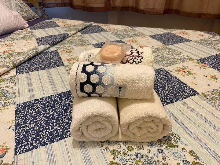 Apto Em Glória|santa \ Perto Do Metrô E Praia - Glória