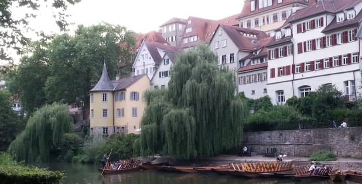 Waldnähe, Ruhig, Inmitten Von Tübingen - Tübingen