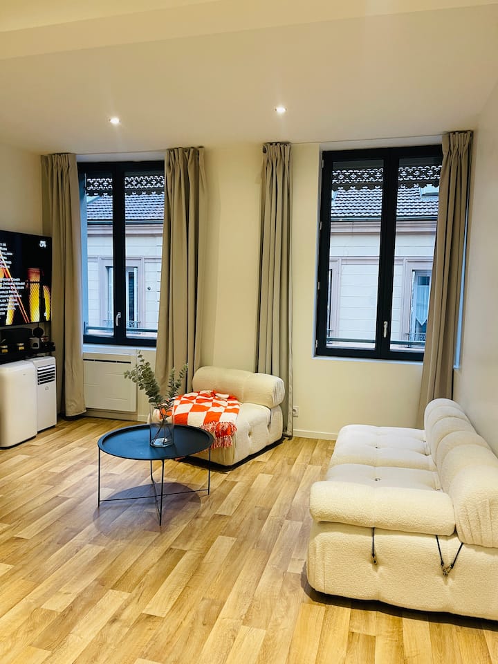 Appartement Cosy Et Central - Saint-Etiénne