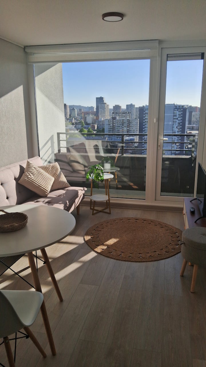 Luminoso, Buena Vista Y Bien Ubicado, Todo A Pie - Concepción, Chile