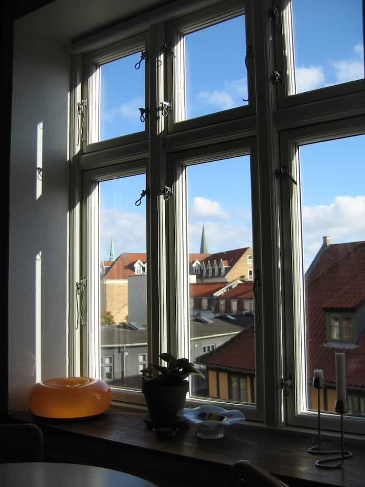Bright & Cozy Studio In Central Aarhus - Aarhus