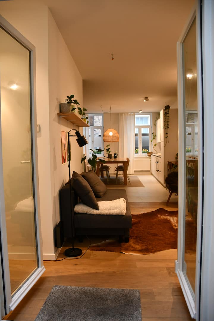Gezellig Appartement - Centrum Gent - Gent
