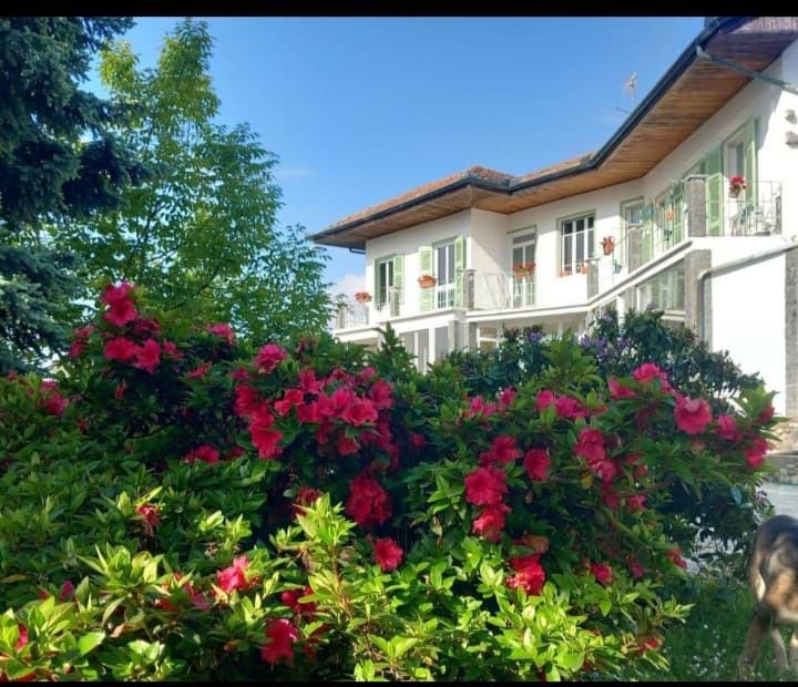Residenza Il Rododendro - Balocco
