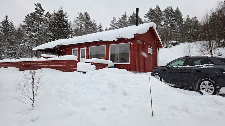 Koselig Skogshytte I Evje – Ro Og Natur - Norway