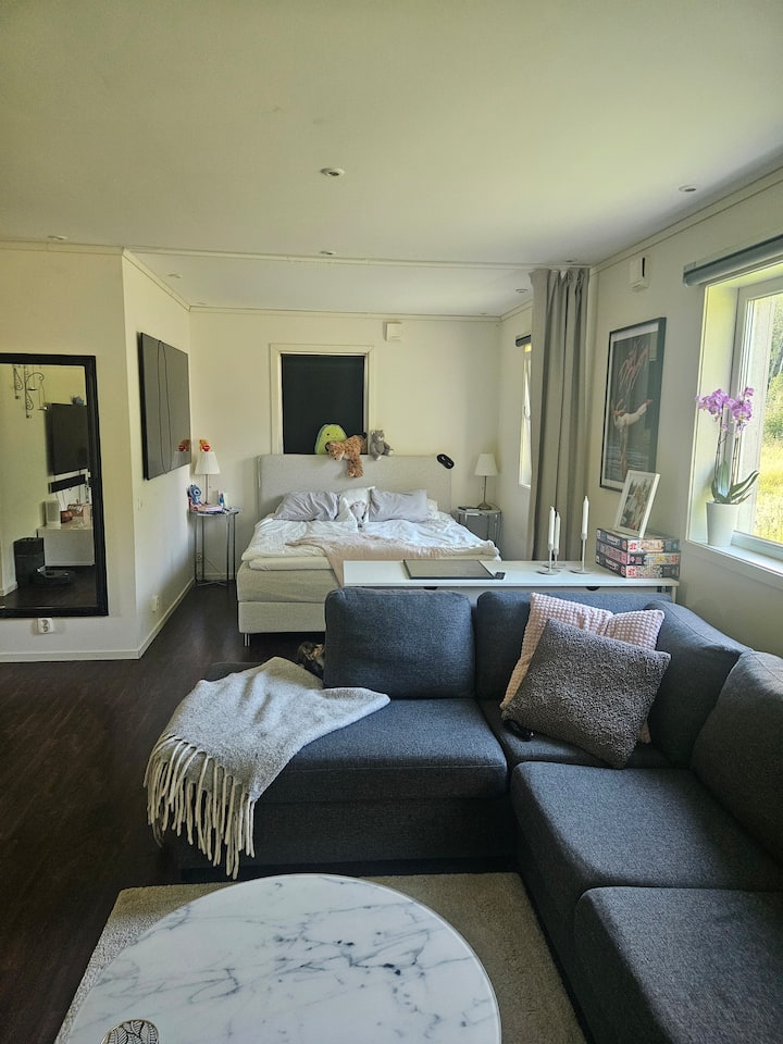 Gästhus Med Fullt Husgeråd. - Örebro