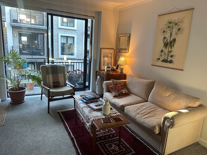 Chic Newtown Apartment, 1 Bed - Wellington, New Zealand