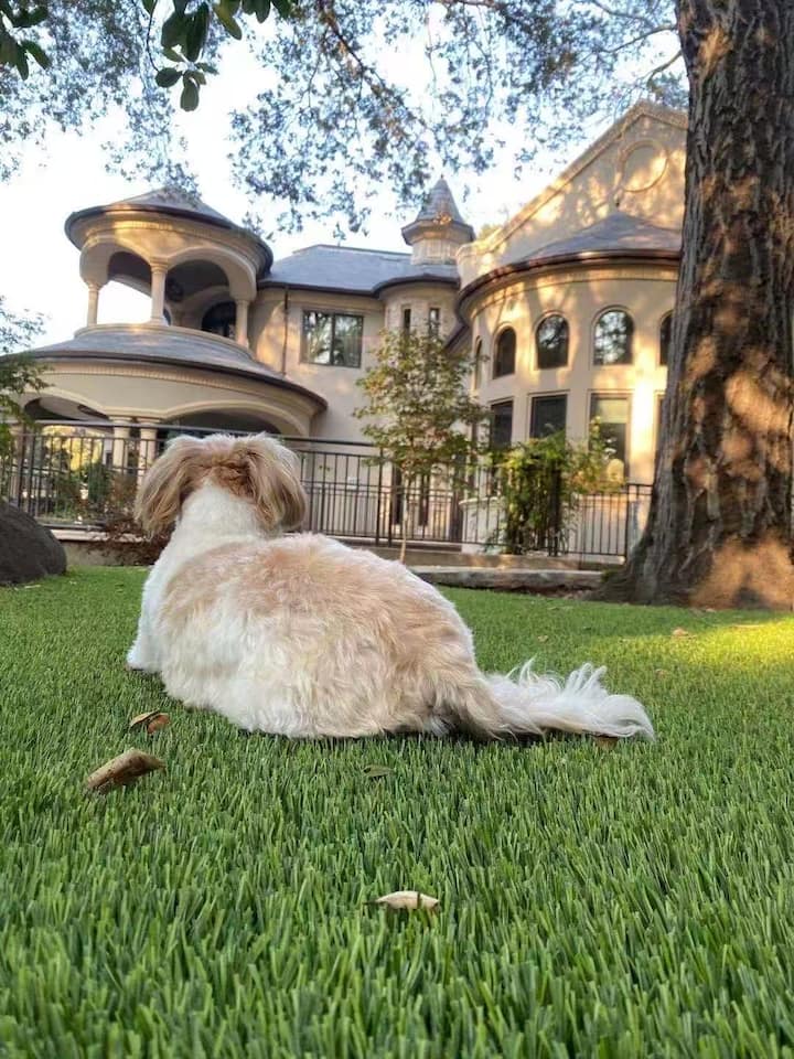 Where Big Ideas Begin | The Lucky House, Atherton - Redwood City, CA