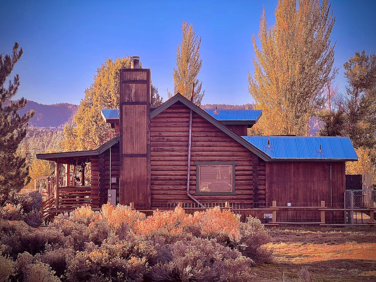 El rancho de Teddy Bear y Ghost Town, hogar de BBTV - Cabañas en ...