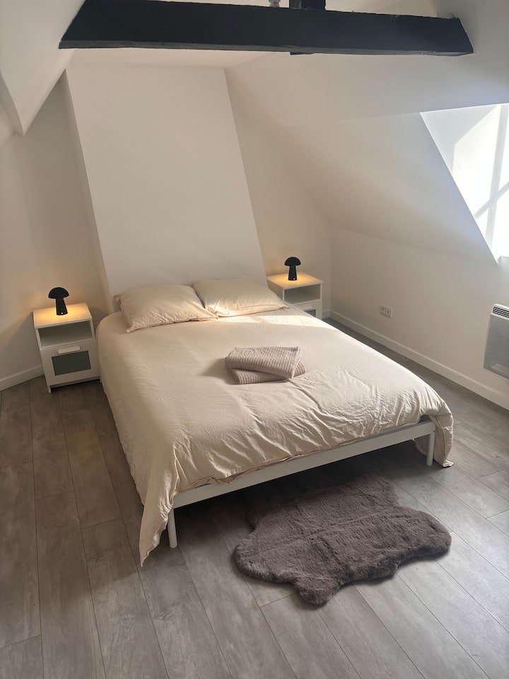 Le Duplex Bleu : 4 Pers. - Hyper Centre Douai - Douai