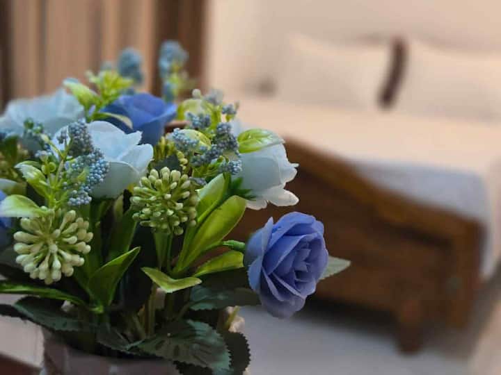 A Tropical Delight! A Peaceful Holiday Home - Sri Lanka