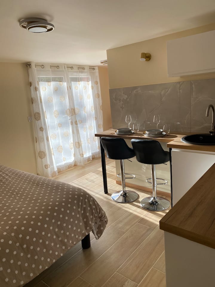 Charmant Studio Rénové Avec Terrasse Privative - Ammerschwihr