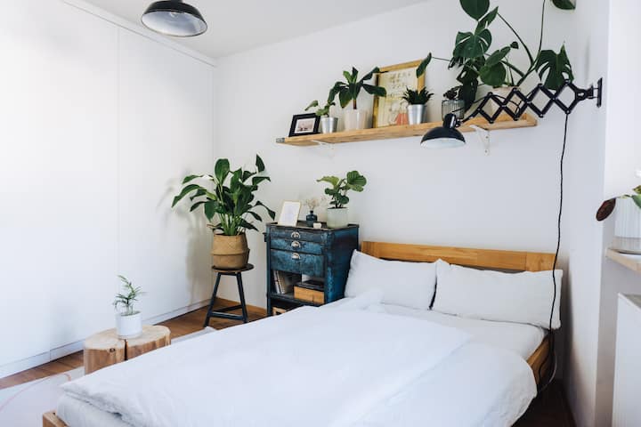 Raum Life – Im Herzen Der Altstadt – 2 Min Zum Dom - Regensburg