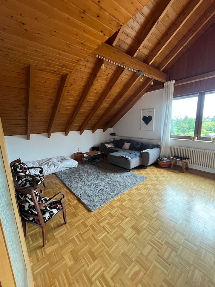 Helle Wohnung Mit Holzcharme In Kaiserslautern - Kaiserslautern