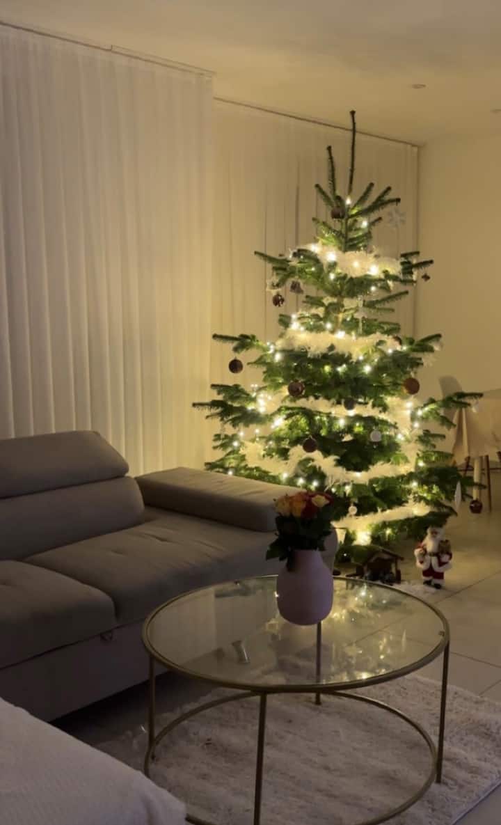 T3,2 Chambres, + Canapé Lit, Stationnement Gratuit - Strasbourg