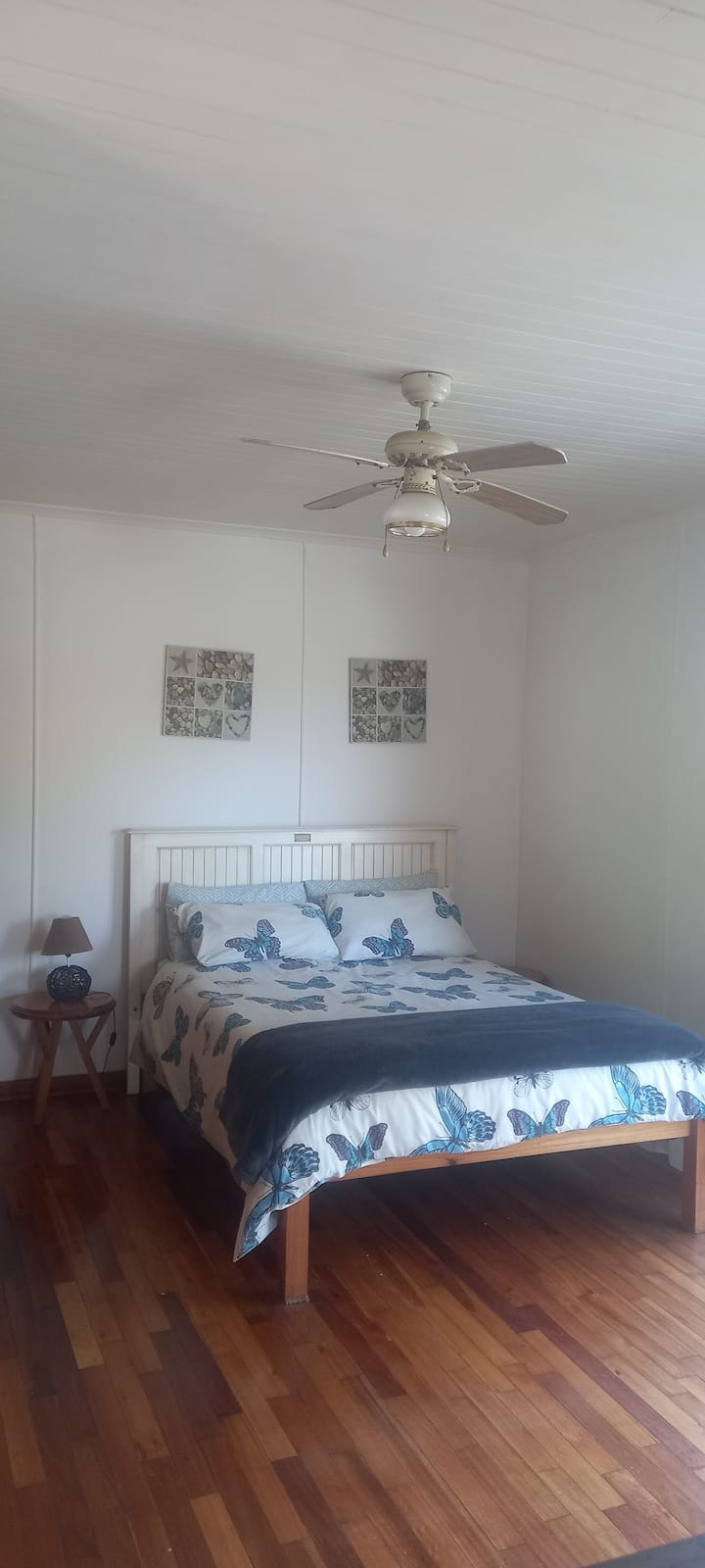 Owlette - Sedgefield