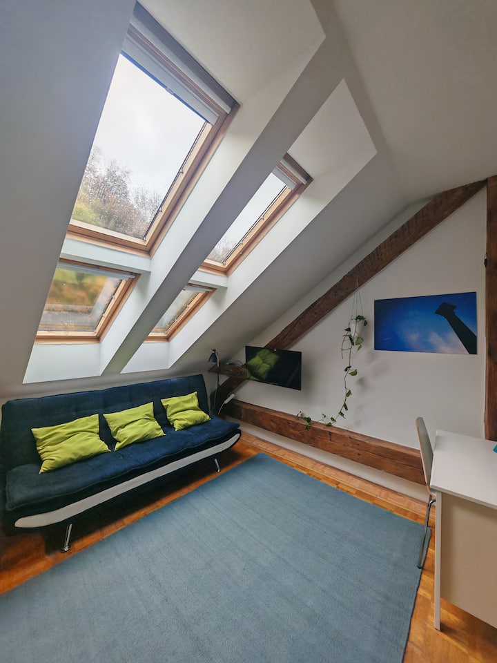Blue Sky Apt • Center Ljubljana • Free Parking - リュブリャナ