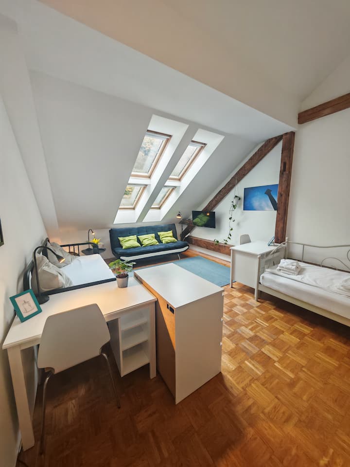 Blue Sky Apt • Center Ljubljana • Free Parking - Ljubljana