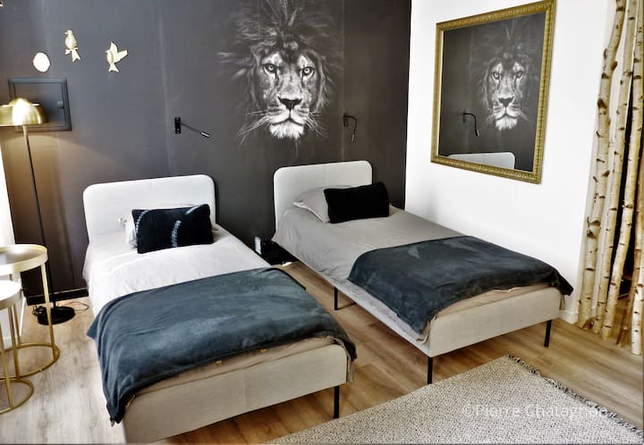 Studio -4 Lits - Idéal Pros à Tournon Centre (07) - Tournon-sur-Rhône