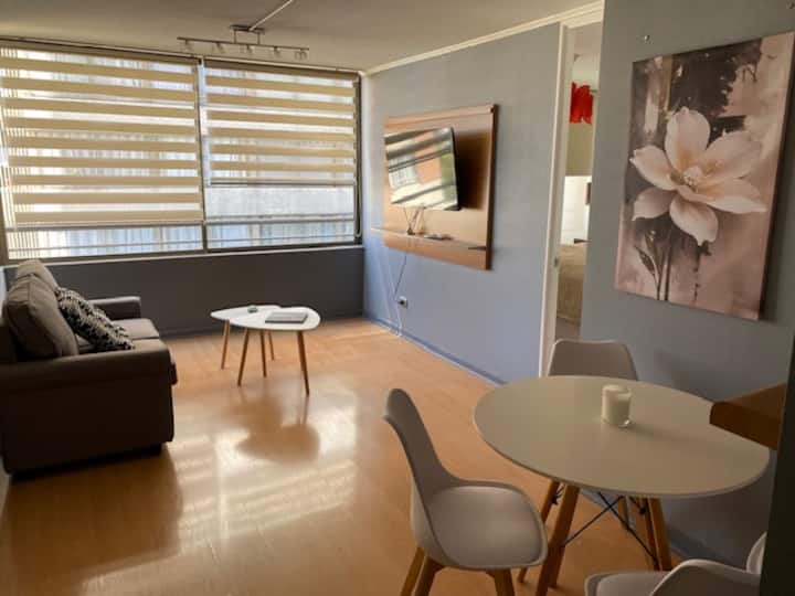 Acogedor Y Practico Departamento - Recoleta