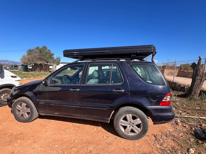 Duerme A La Luz De La Luna - Majorca