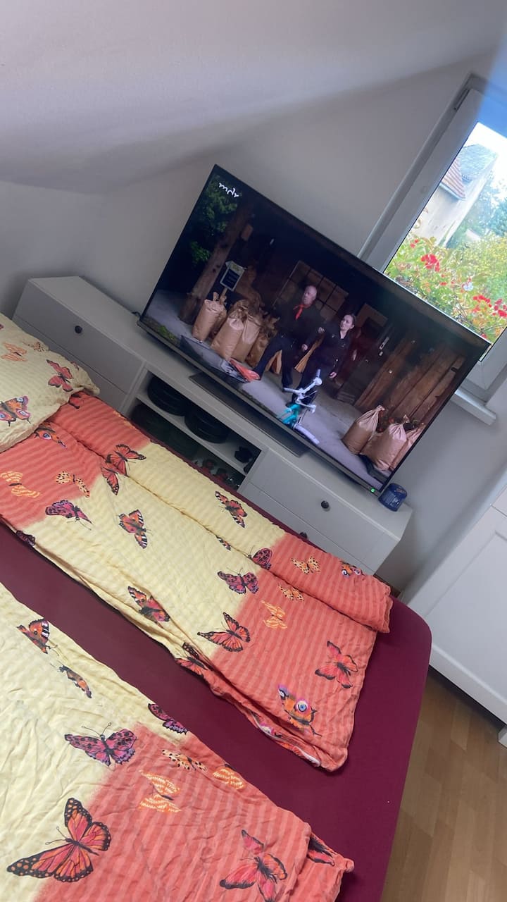 Pension "Zum Zierlichen" Zimmer Nr. 11 - Torgau