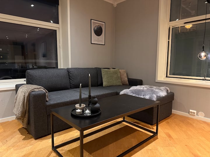 Central Apartment For 4 - トロムセー