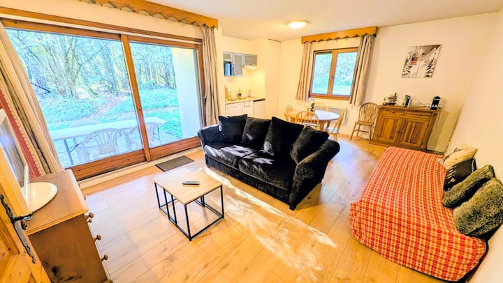 Charmant & Spacieux T2 En Résidence - Samoëns