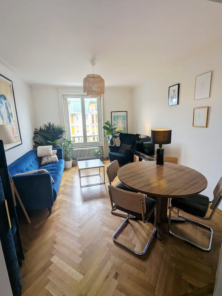 Bright, Central And Spacious Apartment - Geneva